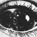 🩸 Studlands | bring all ores and enemies — Roblox Scripts | ScriptBlox