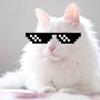 Universal Script 📌 | Function Dumper — Roblox Scripts | ScriptBlox