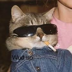 Universal Script 📌 | Remote Event Scanner — Roblox Scripts | ScriptBlox