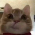 🐙 Raft 101 Survival | script — Roblox Scripts | ScriptBlox