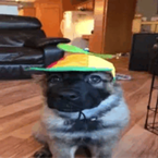 Universal Script 📌 | Sigma Spy — Roblox Scripts | ScriptBlox