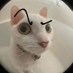 Emergency Response: Liberty County | Response — Roblox Scripts | ScriptBlox