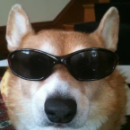 Universal Script 📌 | Delta Customization Module — Roblox Scripts | ScriptBlox