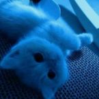 [FPS] Flick | NEVERLOSE V2 — Roblox Scripts | ScriptBlox