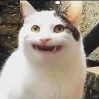 Universal Script 📌 | Decompiler for Krampus — Roblox Scripts | ScriptBlox