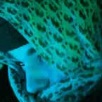 Universal Script 📌 | Zars Remote Finders — Roblox Scripts | ScriptBlox