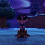 [🧤] Defusal | kill all — Roblox Scripts | ScriptBlox