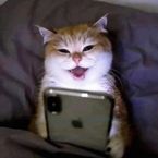 [MP5] Prison Life | selint aim without gui — Roblox Scripts | ScriptBlox