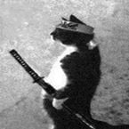 Knockout! 🐧 | Push Script — Roblox Scripts | ScriptBlox