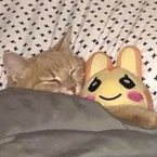 Universal Script 📌 | Lazy Hub — Roblox Scripts | ScriptBlox