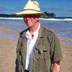 Knockout! 🐧 | Movement Cheat — Roblox Scripts | ScriptBlox