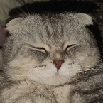 [ ️] South Bronx: The Trenches | BRONX SOLARA — Roblox Scripts | ScriptBlox