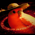 Arsenal | insanity XYZ [ #1 UNPATCHED SCRIPT ] — Roblox Scripts | ScriptBlox