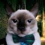 Pressure | V2 — Roblox Scripts | ScriptBlox