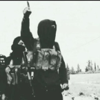 Universal Script 📌 | rank giver — Roblox Scripts | ScriptBlox