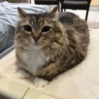 [NOW] Weak Legacy 2 | Open Source — Roblox Scripts | ScriptBlox