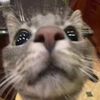 [JK] The KJ Battlegrounds | Get Ult Moves FIXED — Roblox Scripts ...