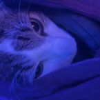 Build A Boat For Treasure | bot tresure — Roblox Scripts | ScriptBlox