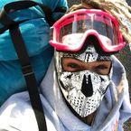 Universal Script 📌 | VexHub — Roblox Scripts | ScriptBlox