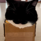 Universal Script 📌 | OPEN SOURCE Fly GUI v4 — Roblox Scripts | ScriptBlox