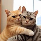 Universal Script 📌 | Dark Dex Explorer — Roblox Scripts | ScriptBlox