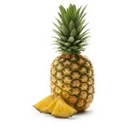 No-Scope Arcade | working op script — Roblox Scripts | ScriptBlox