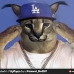 Universal Script 📌 | Minions troll gui — Roblox Scripts | ScriptBlox