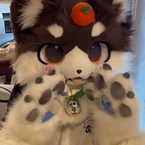 [CODE HALLOWEEN25] Combat Surf! | OPEN SOURCE kill all — Roblox Scripts | ScriptBlox