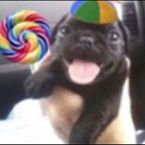 Case Paradise | auto open cases EZ KEY — Roblox Scripts | ScriptBlox