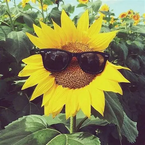 Build A Boat For Treasure | BABFT AUTO FARM KEYLESS (UNDETECTED ...