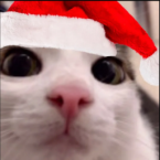 Universal Script 📌 | Invisible fling — Roblox Scripts | ScriptBlox