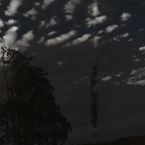 Universal Script 📌 | DEX Explorer — Roblox Scripts | ScriptBlox