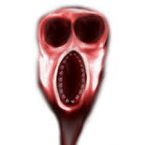 Universal Script 📌 | Hardcore V4 Doors — Roblox Scripts | ScriptBlox