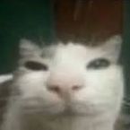 Universal Script 📌 | Saturn v1 universal silent aim and aimlock ...