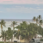 Universal Script 📌 | infinite money for fisch — Roblox Scripts | ScriptBlox