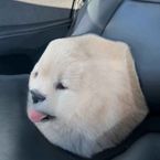 Doom By Fate [ALPHA] | Best Script For Doom By Fat3 Keyless — Roblox ...