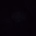 DOORS [NEW BUNDLE 🐱] | SCRIPT XENO OPTIMIZED — Roblox Scripts | ScriptBlox