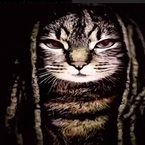 Greenville | Script See the description after use — Roblox Scripts ...