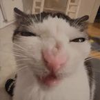 [🍪 ️] Blue Lock: Rivals | EXUSO HUB — Roblox Scripts | ScriptBlox