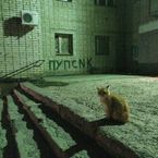 Universal Script 📌 | Infinite Yield Reborn Legacy — Roblox Scripts | ScriptBlox