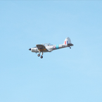 Universal Script 📌 | FREE PRIVATE SERVER WORKING — Roblox Scripts | ScriptBlox