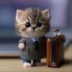 Universal Script 📌 | LNicky F3X Script Gui v3 60 — Roblox Scripts | ScriptBlox