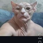 Ultra Toilet Roleplay 2 [WOD!!!] | UTR2 Get All Badges — Roblox Scripts ...