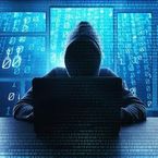 Universal Script 📌 | Knight Executor — Roblox Scripts | ScriptBlox