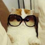 🌲Infectious Smile | GUI (Update) — Roblox Scripts | ScriptBlox