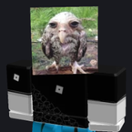 Universal Script 📌 | require script sensation hub — Roblox Scripts | ScriptBlox