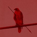 [ ️] Cut Grass | BEST GUI — Roblox Scripts | ScriptBlox