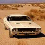 Universal Script 📌 | VISION HUB 170 GAMES — Roblox Scripts | ScriptBlox