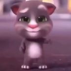 Brookhaven 🏡RP | Shadow Hub renamed — Roblox Scripts | ScriptBlox