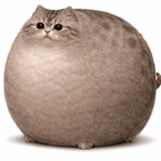 Escape Tsunami For Brainrots! | BEST KEYLESS SCRIPT SYNCWARE HUB AUTO ...